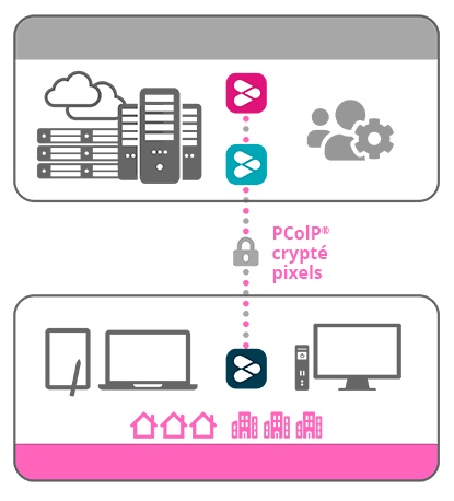 Hp Anyware - le logiciel pour assurer la productivité de vos collaborateurs